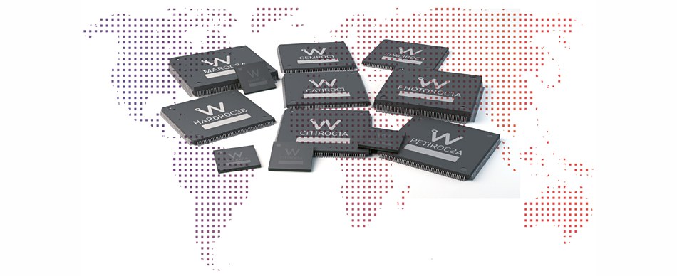 CAEN WEEROC定制化集成电路芯片 – 中检电子